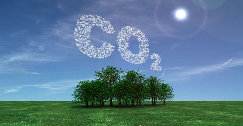 New Study: Climate Models Miss This Natural CO2 Source Hiding in Plain ...