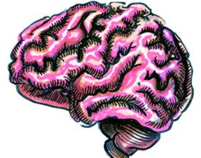 Are Brain Cell Mutations Good Or Bad? | Principia Scientific, Intl.