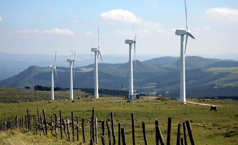 Swiss wind farm ordered to scale back to protect birds | Principia ...