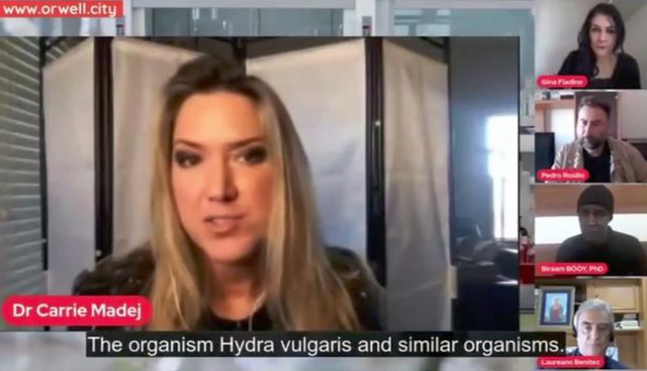 Dr. Carrie Madej nearly died in devastating airplane crash | Principia ...