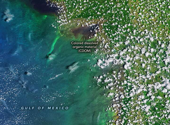New study links red tides, dead zones off Florida west coast ...