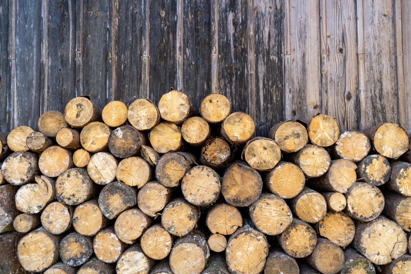 Europeans are hoarding wood as winter looms in energy crisis ...