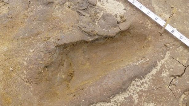 Ancient footprints reveal ‘Irish Sea Serengeti’ | Principia Scientific ...
