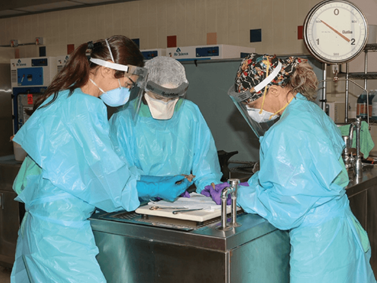 What are the Autopsies Teaching Us? | Principia Scientific, Intl.