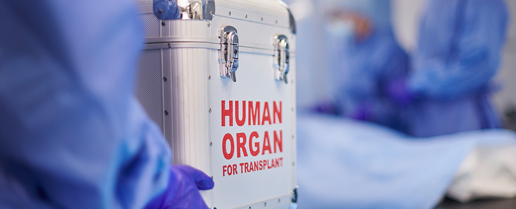 Man Declared Brain Dead Wakes Up Just Before Organ Removal | Principia ...