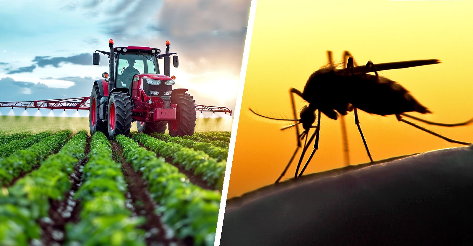 How Big Ag Is Killing Insects — and Why It Matters | Principia ...