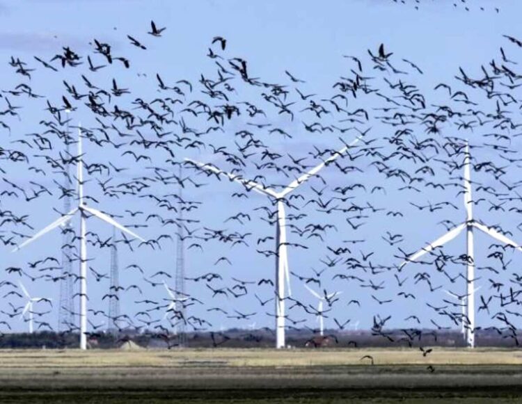 Principia Scientific Intl.