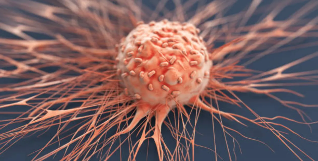 Was A Potential Cure For Cancer Discovered Decades Ago? | Principia ...