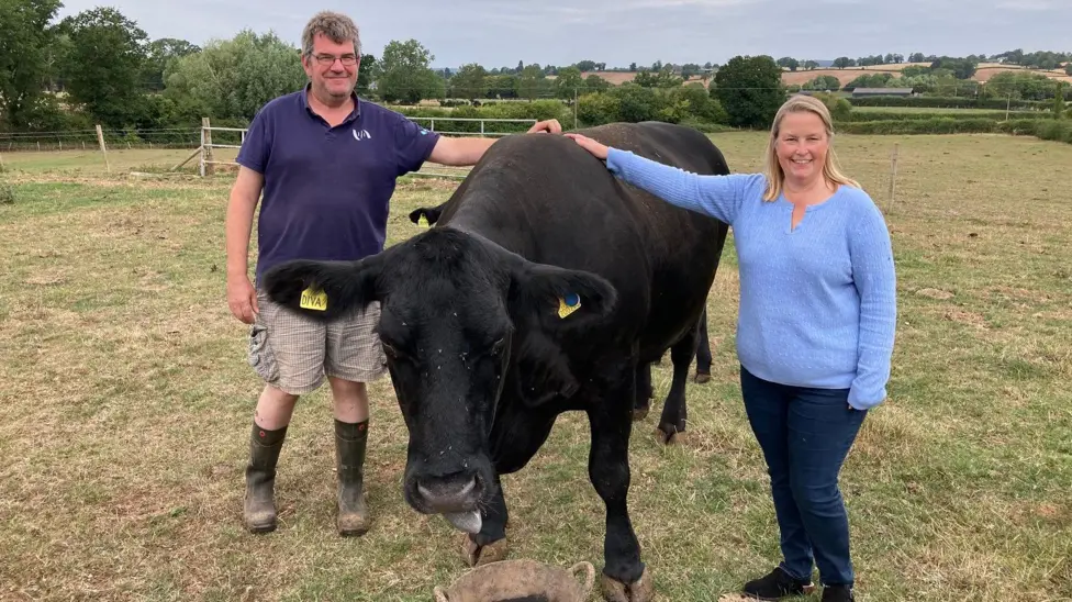 UK Farmer Says His Farm Couldn’t Run Without AI | Principia Scientific ...
